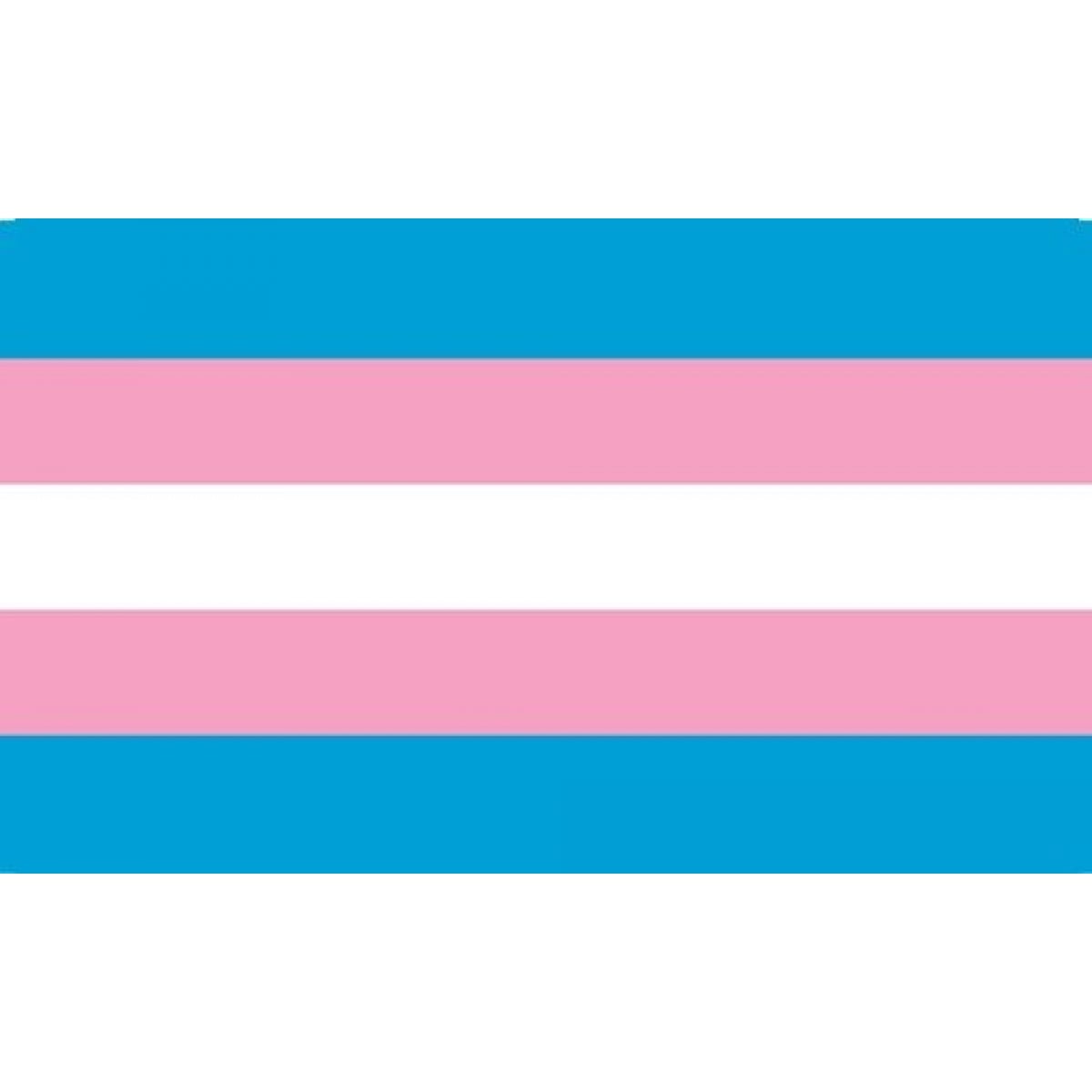 Transgender (Monica Helms) Gay Pride table flag