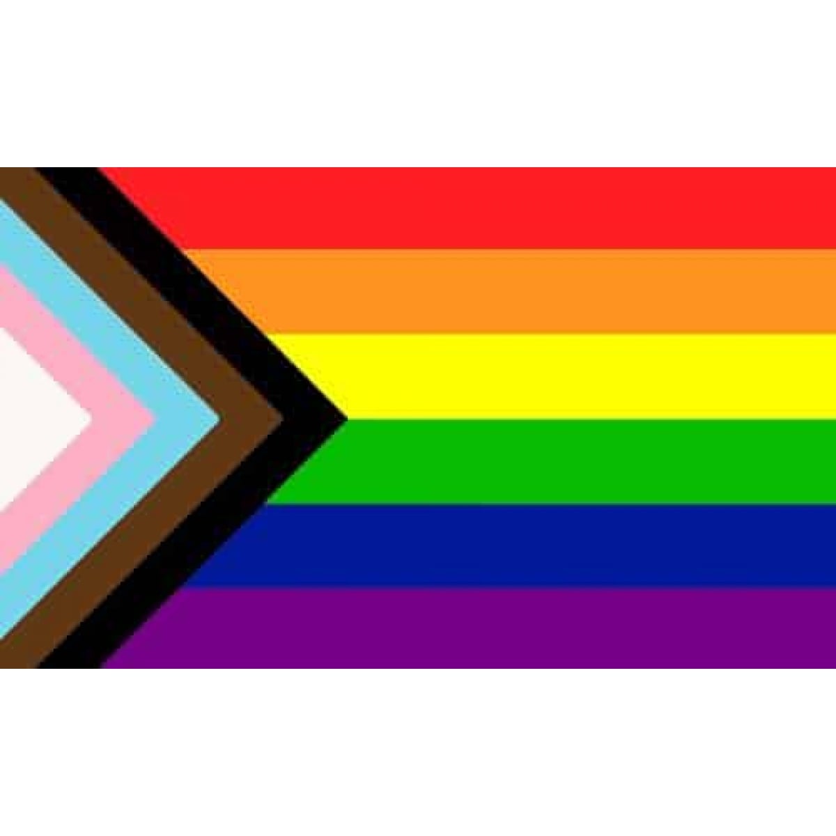 Progress Pride large hand flag - World Flag Shop
