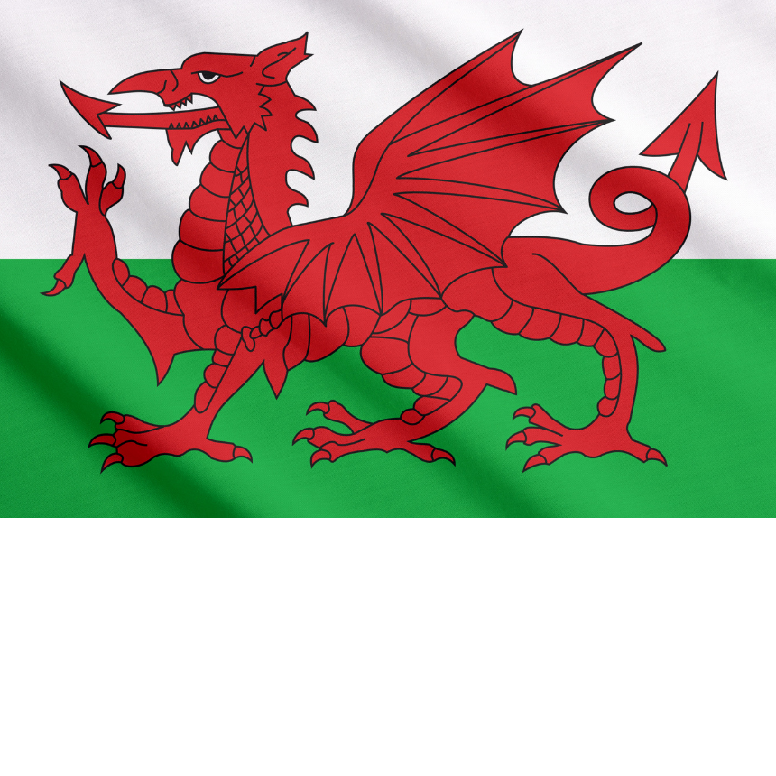 Buy Flags For Every Nation & Occasion | World Flag Shop