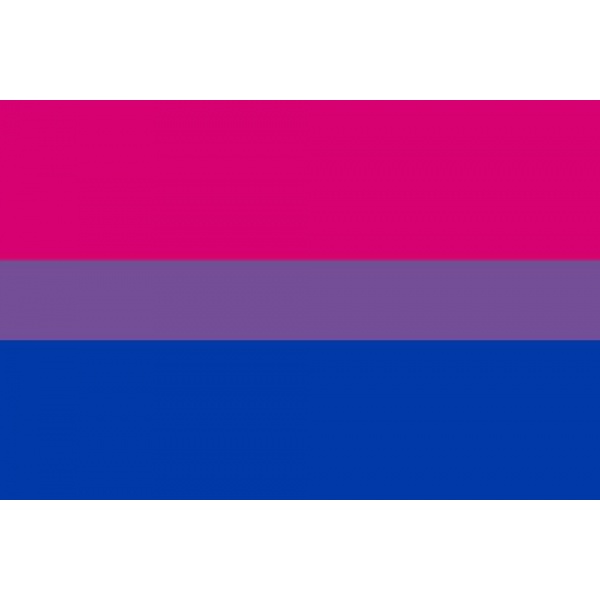 Bisexual Flag | Bi-Pride (Gay Pride) Medium Hand Flag