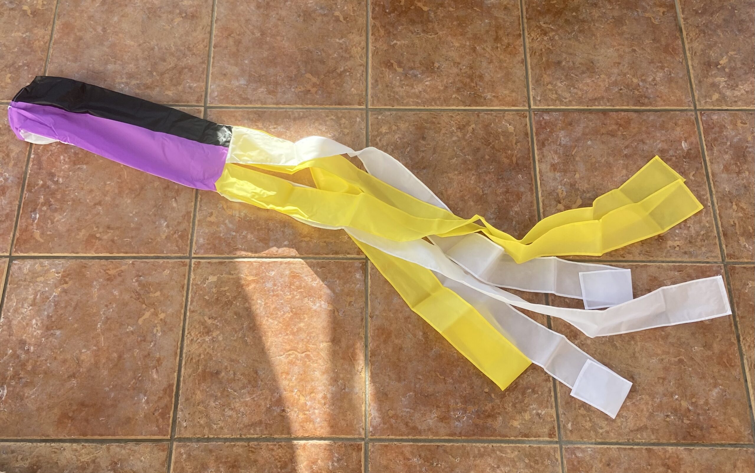 Non Binary 60" windsock - World Flag Shop